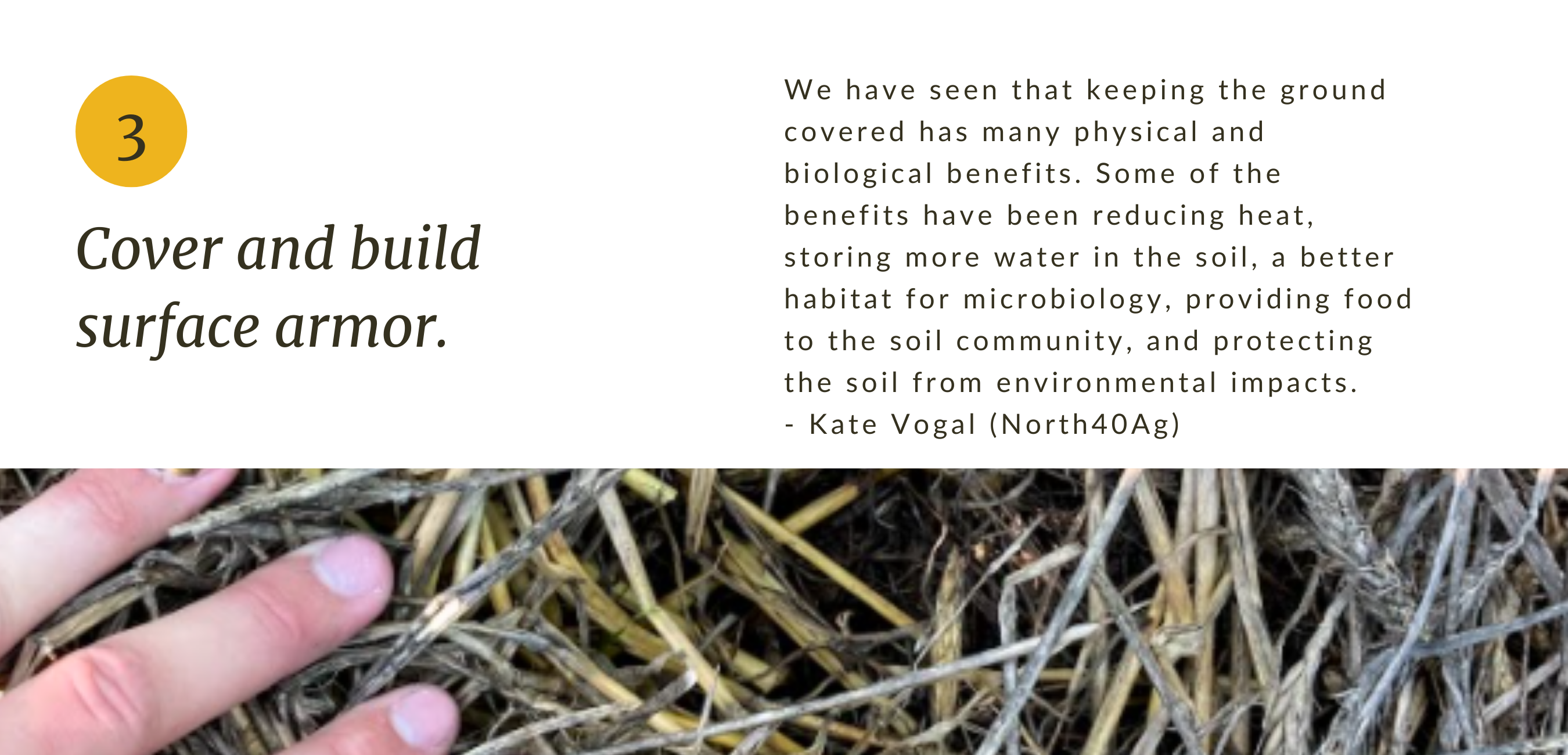 Resources » Green Cover