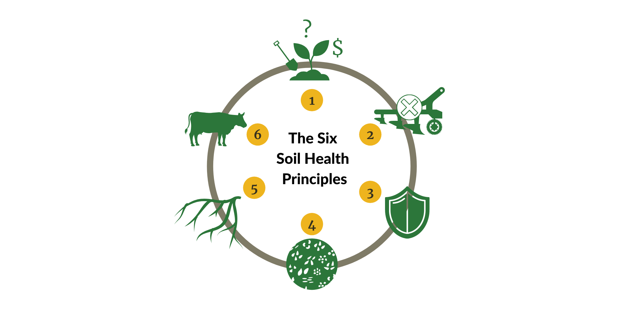 Resources » Green Cover