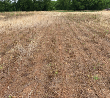 One Man's Trash Was My Treasure » Green Cover