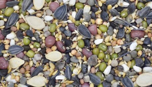 Milpa Garden Mix » Green Cover