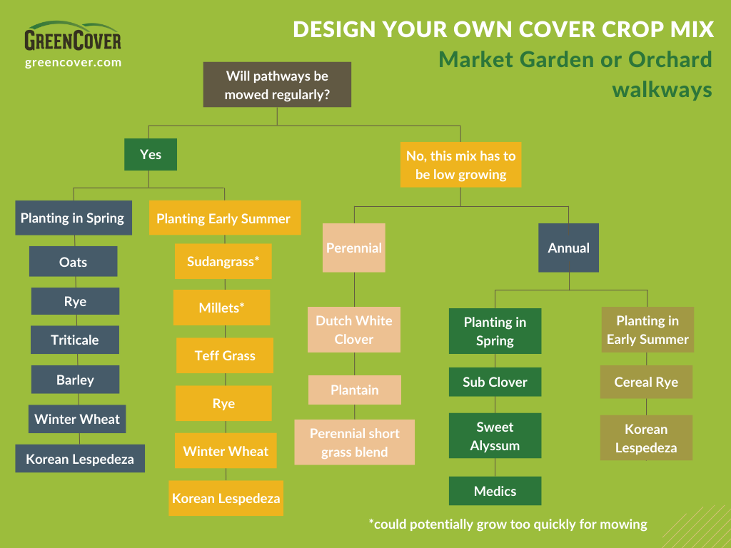 Small-Scale Grower » Green Cover